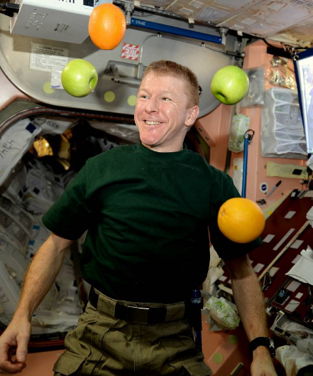 Major Tim Peake to Return After 186 Days Aboard ISS